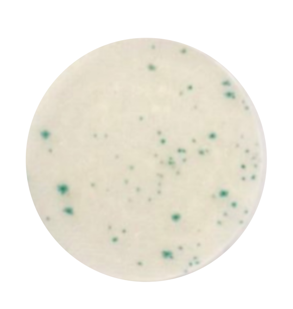 Compact Dry – Advanced Food Diagnostics