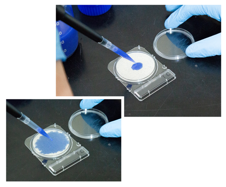 Compact Dry - Fast and Reliable Microbiological Testing